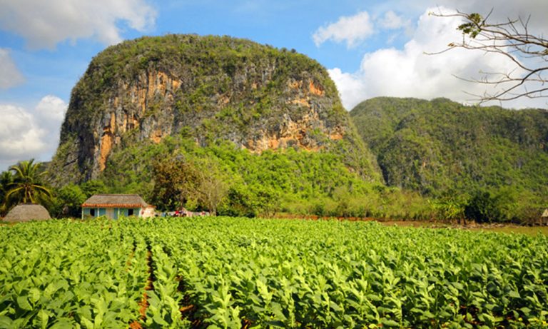 Pinar del Río: la provincia más surreal de Cuba que debes visitar