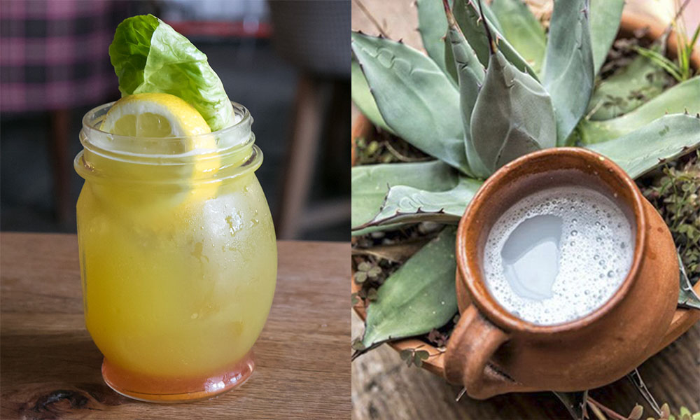 El mezcal, el tequila y el pulque, tres bebidas mexicanas por ...