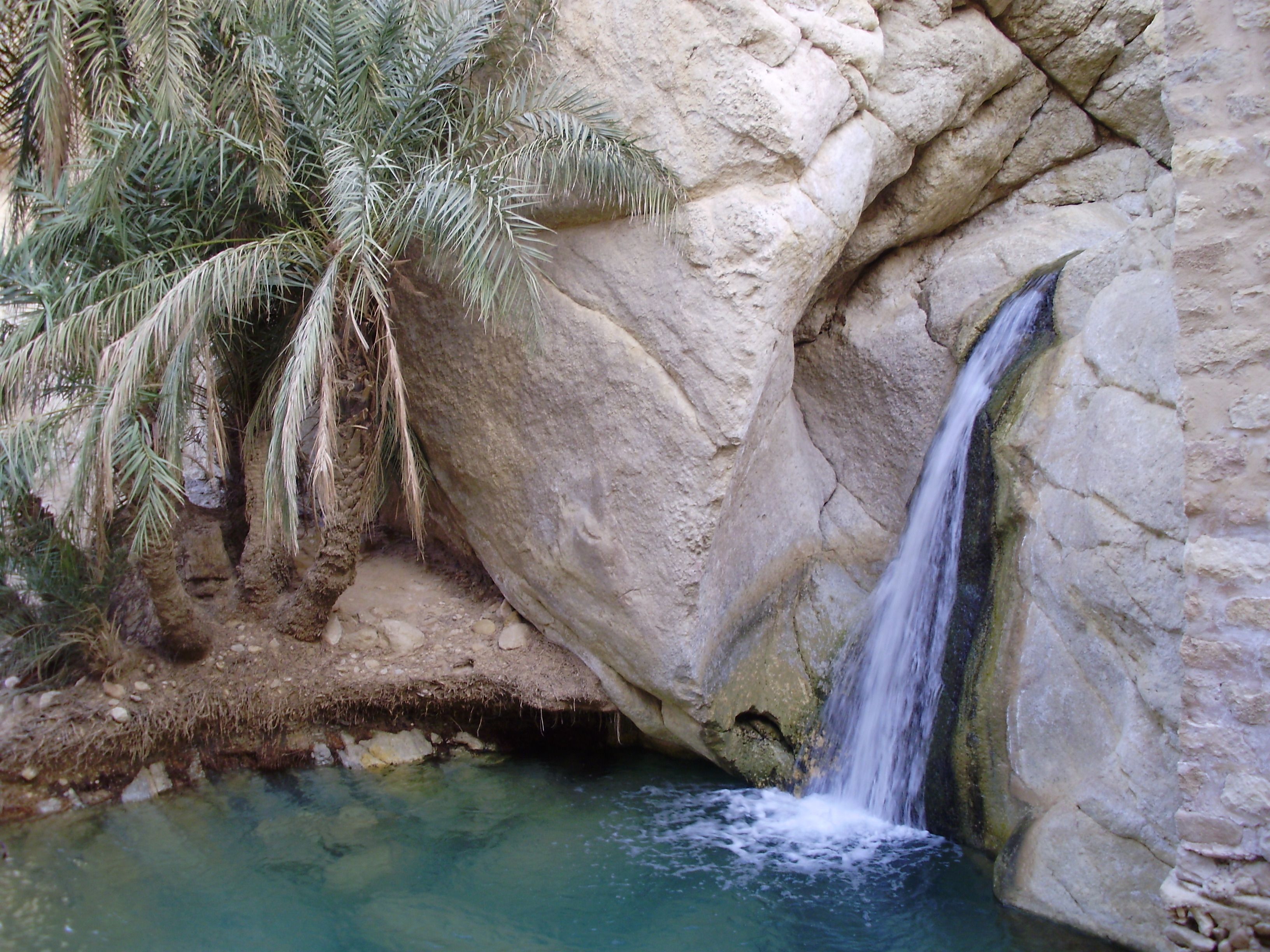 Cinco auténticos oasis en el desierto que te dejarán sin aliento Cinco auténticos oasis en el desierto que te dejarán sin aliento