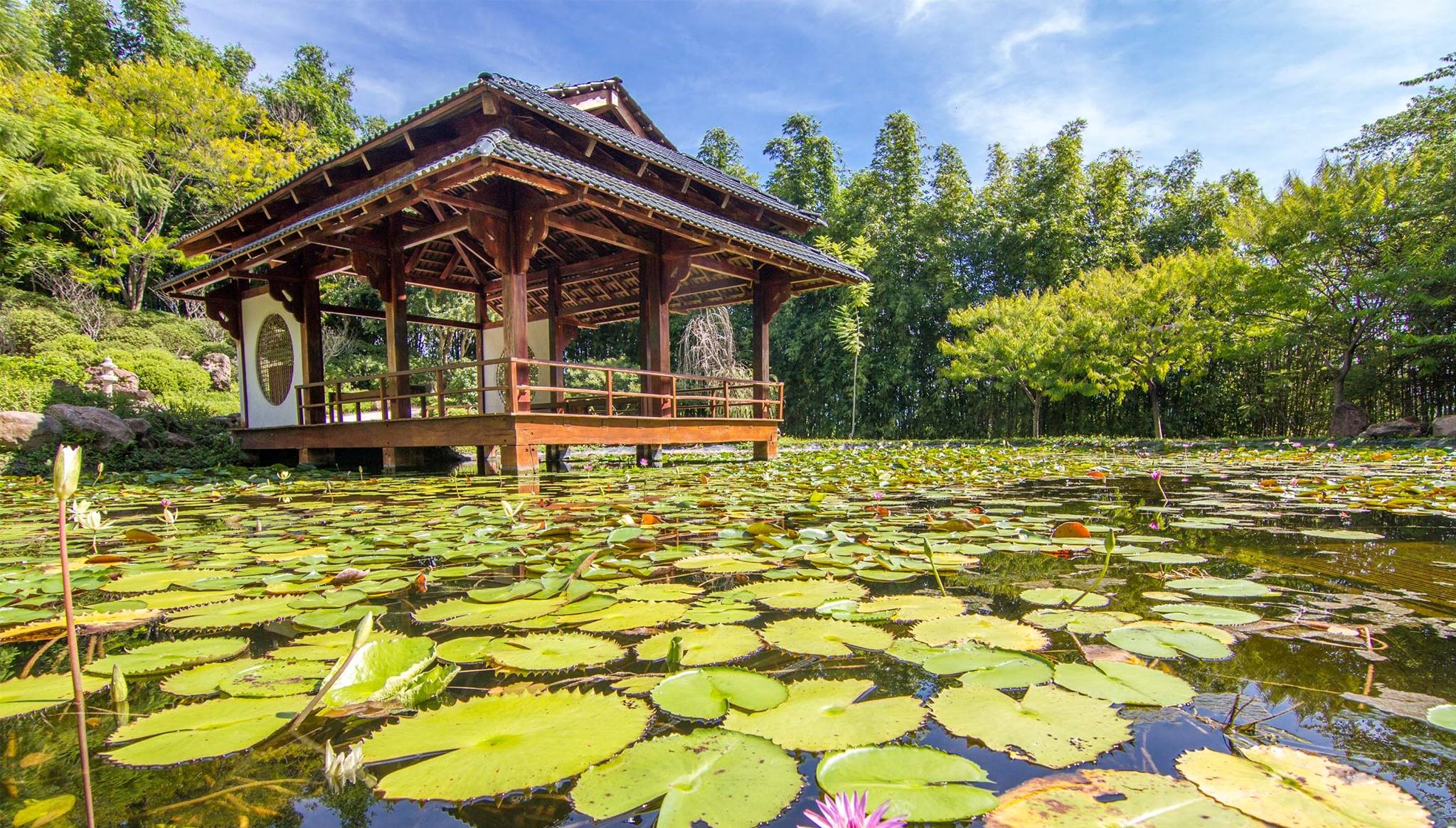 Los jardines más bellos del mundo Jardines de Mexico - Travel Report