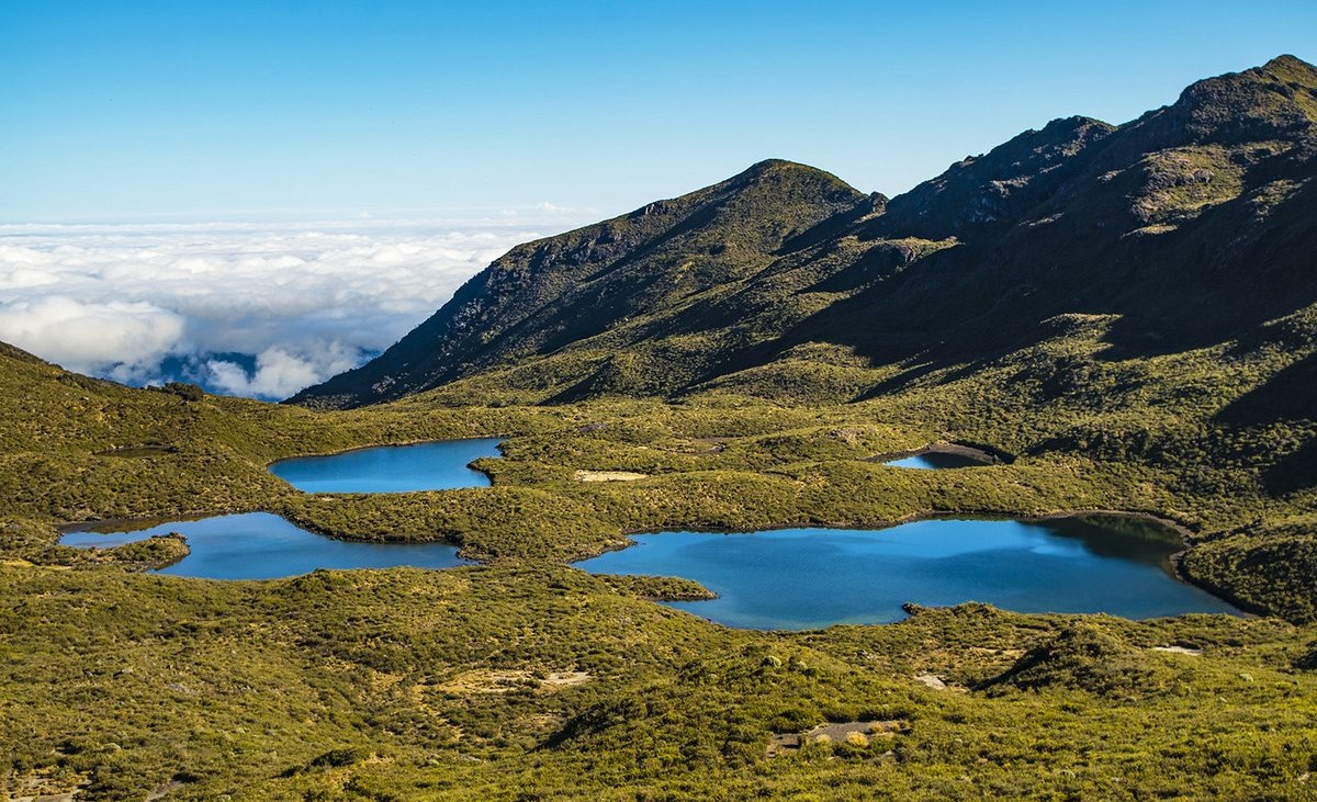 aventura-en-los-parques-nacionales-de-costa-rica-chirripo - Travel Report