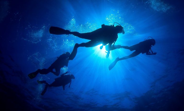 Todo lo que tienes que saber para bucear - Travel Report
