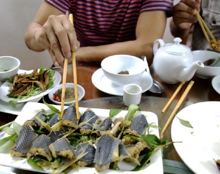 Las comidas más raras del mundo - Travel Report