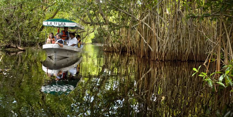 Qué hacer en Tabasco, 20 actividades imperdibles en el edén de México