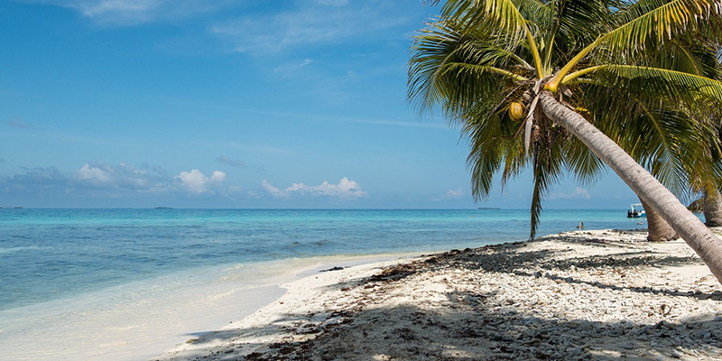 guia-belice 1 - Travel Report