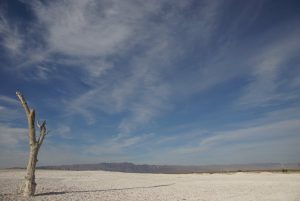Lo mejor qué hacer en Viesca, pueblo mágico de Coahuila