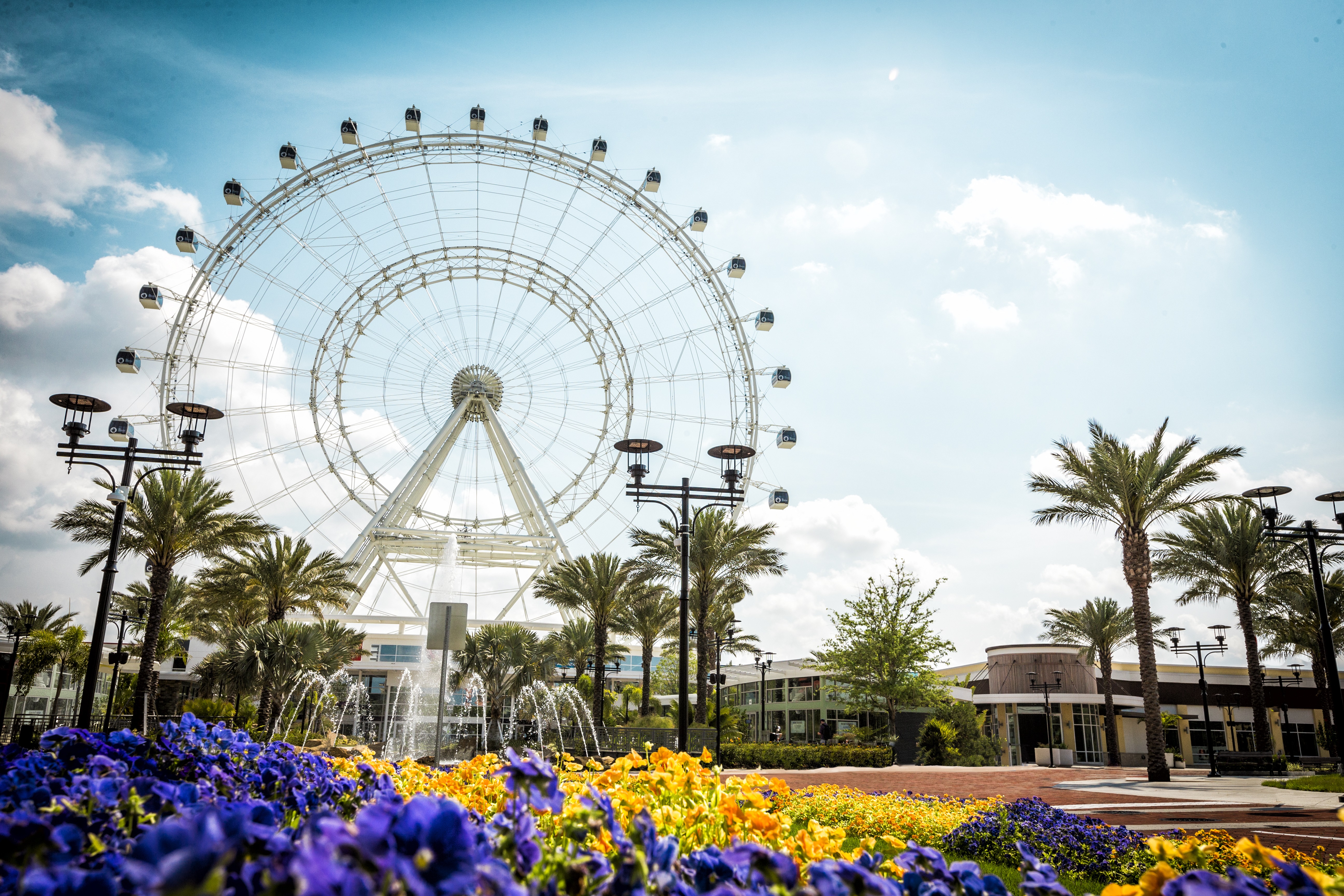 The Wheel - Travel Report