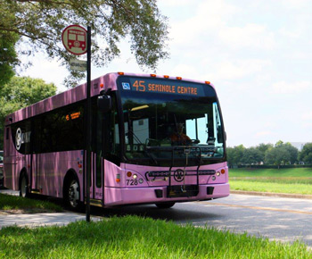 Lynx Orlando - Travel Report