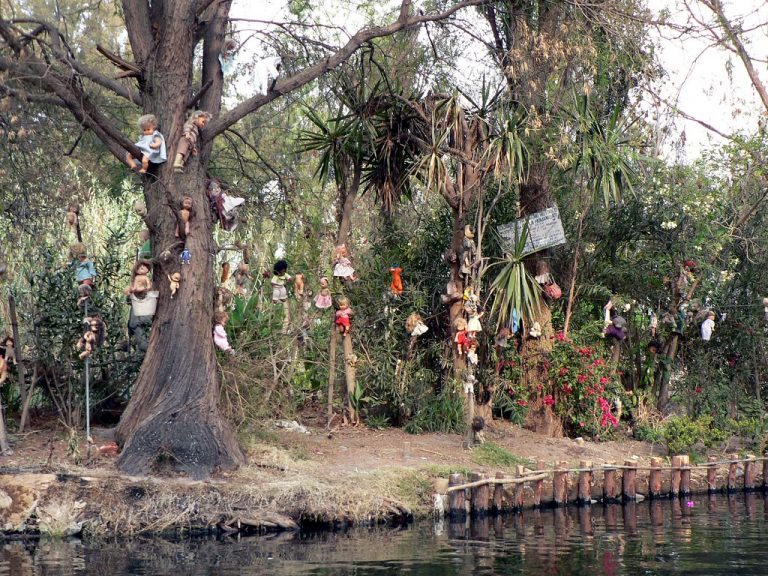 La isla de las muñecas en Xochimilco, que nadie te cuente La isla de las muñecas en Xochimilco, que nadie te cuente