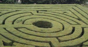 ¿Qué hacer en El Ajusco en tu próxima visita? - Travel Report