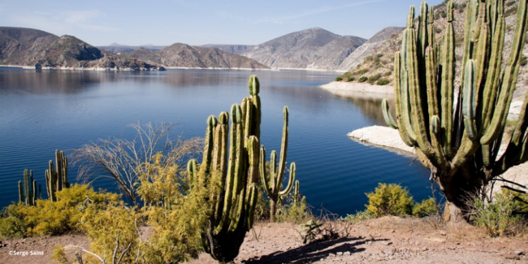 ¿Qué hacer en Cadereyta de Montes, Pueblo Mágico de Querétaro?