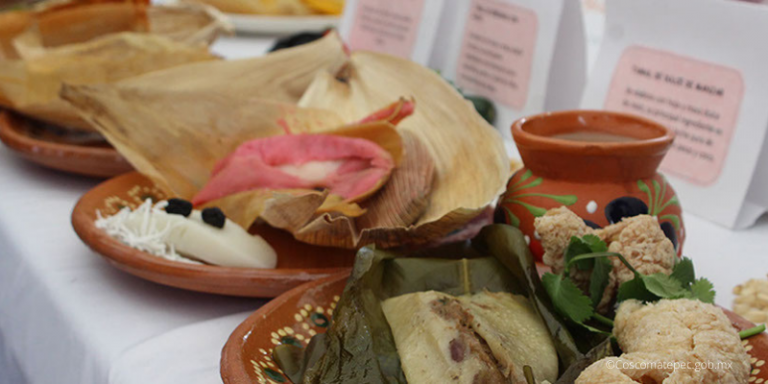 Aventura y sabor en el Pueblo Mágico de Coscomatepec - Travel Report