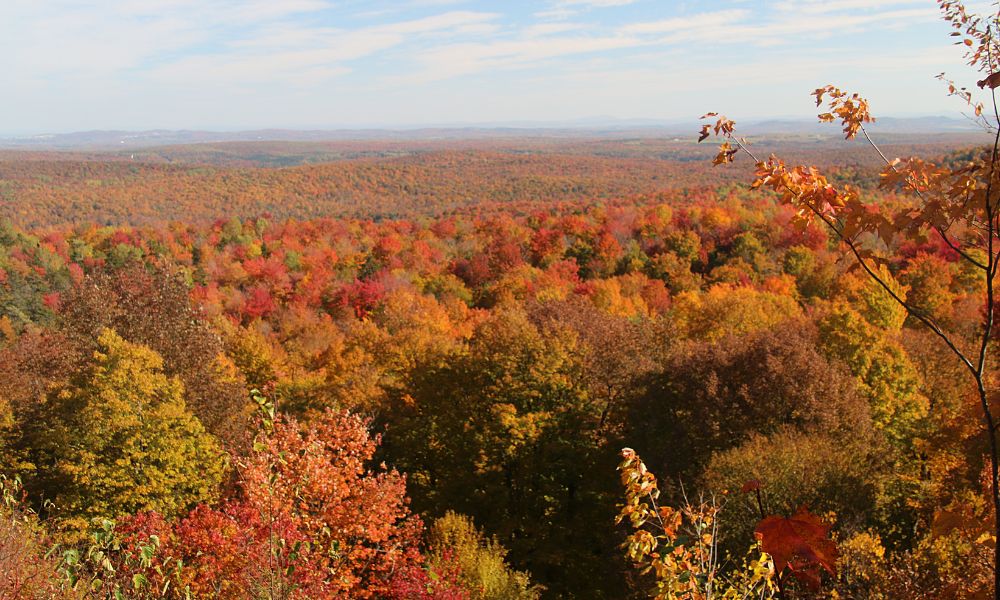 Descubre la belleza del otoño en Montreal - Travel Report