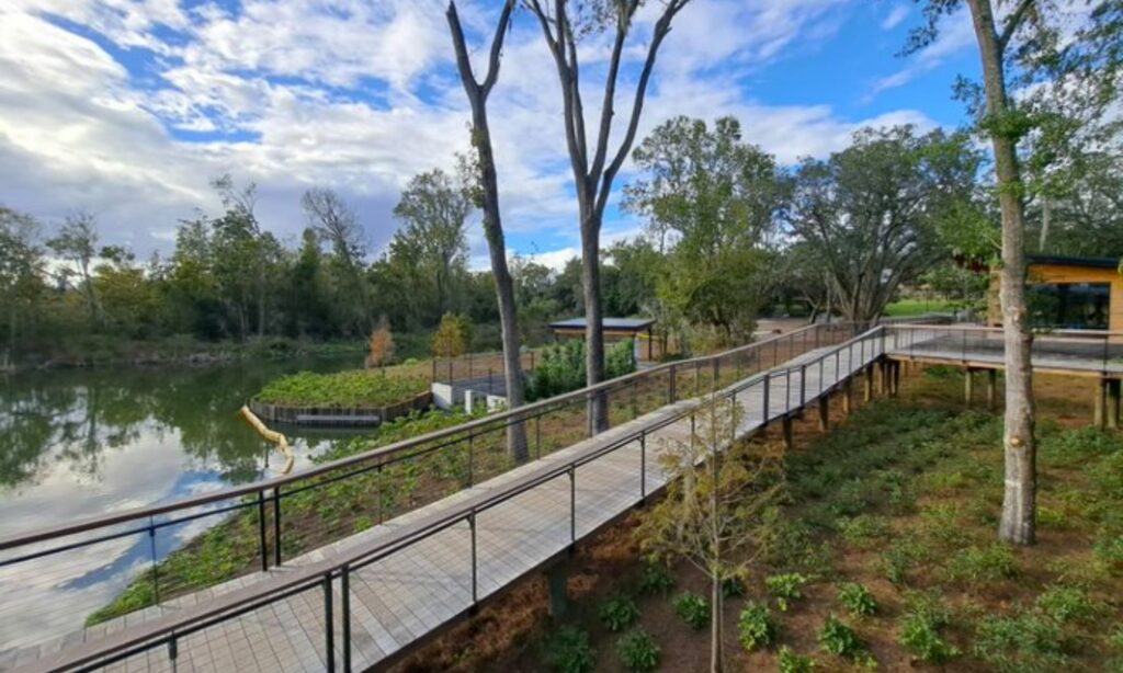 Bonnet Springs Park en Lakeland, un lugar para conectarse con la ...