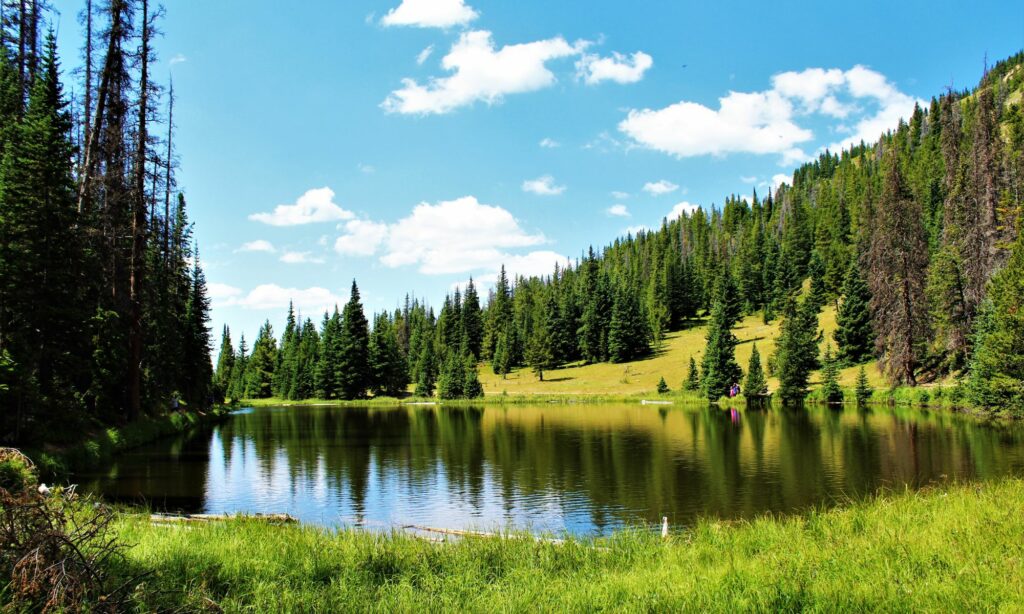 Guía Michelin Colorado: Un Destino Gastronómico de Clase Mundial ...