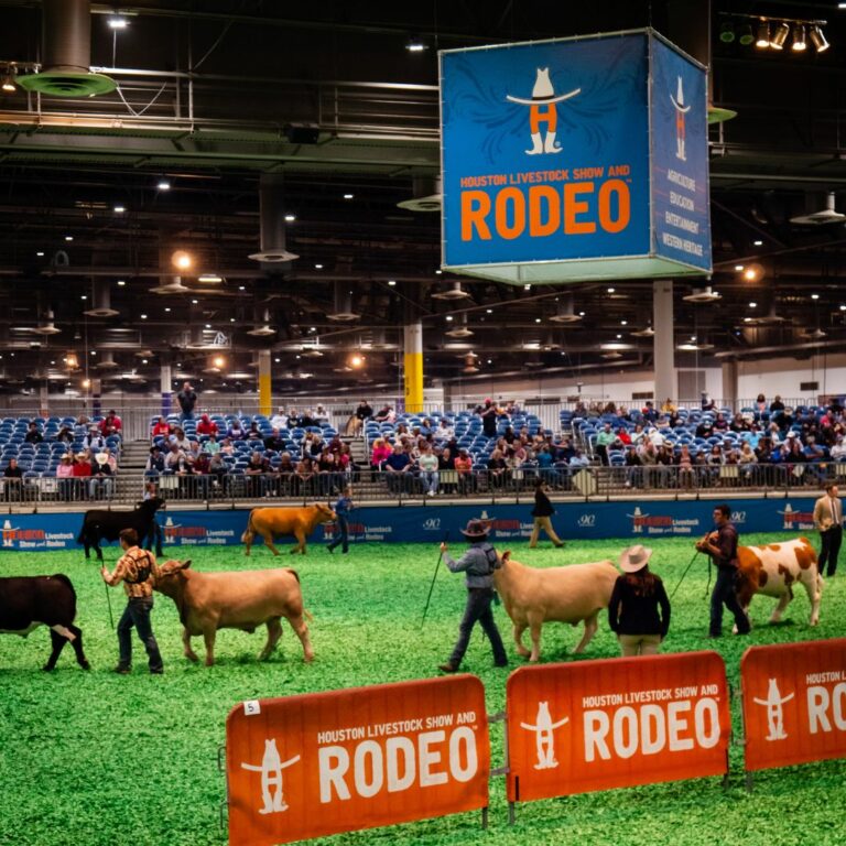 Houston Rodeo 2026 guía completa