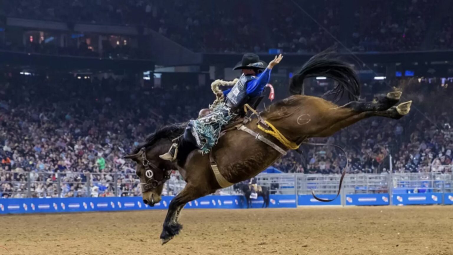 Houston Rodeo 2026 guía completa