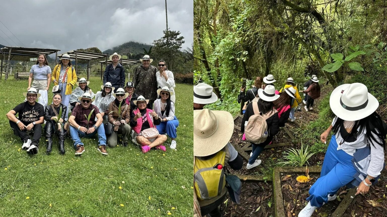 Mega Fam a Colombia con Mega Travel